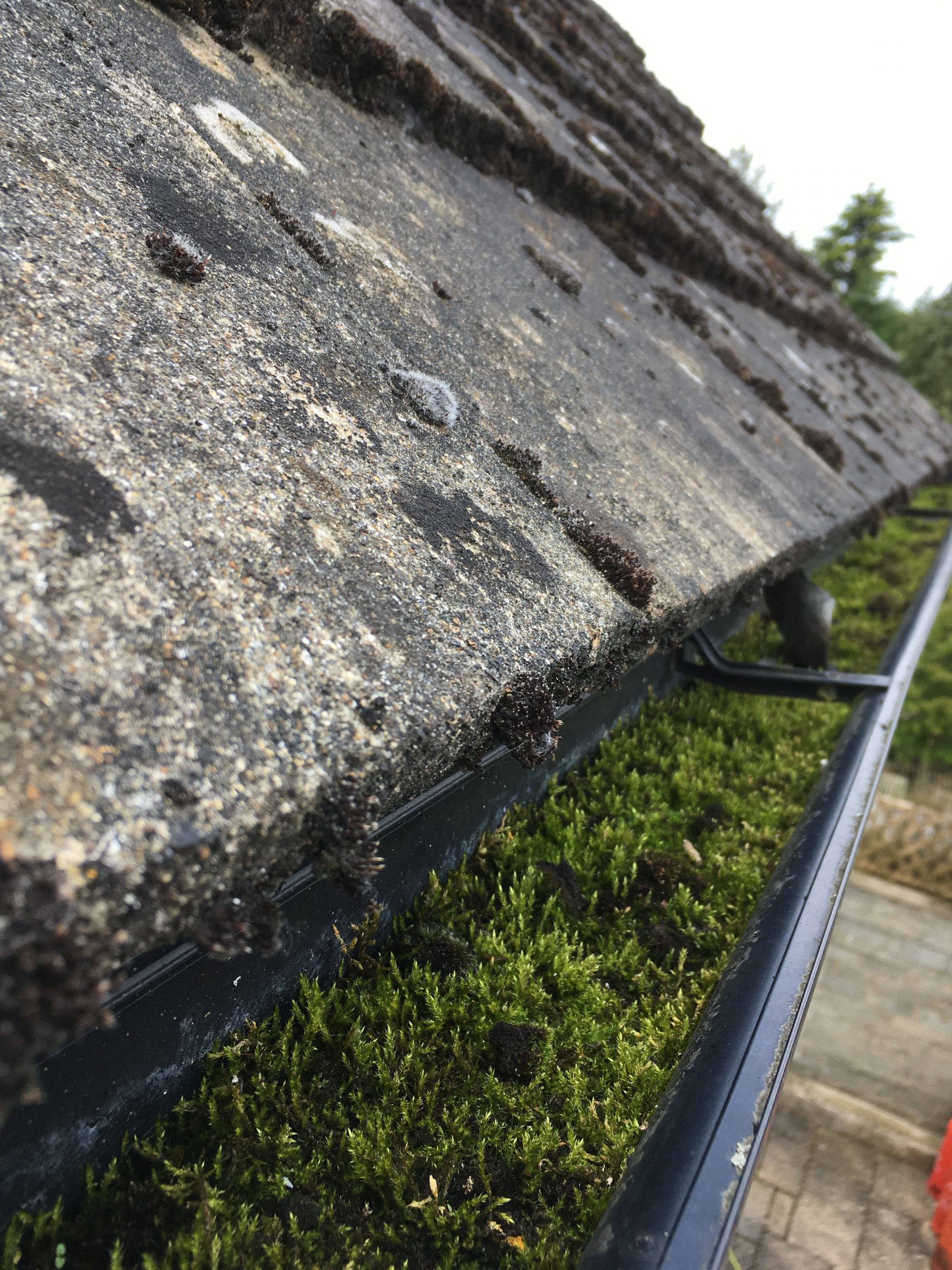 Tell Tale Signs Your Gutters Need Repairing - Blog