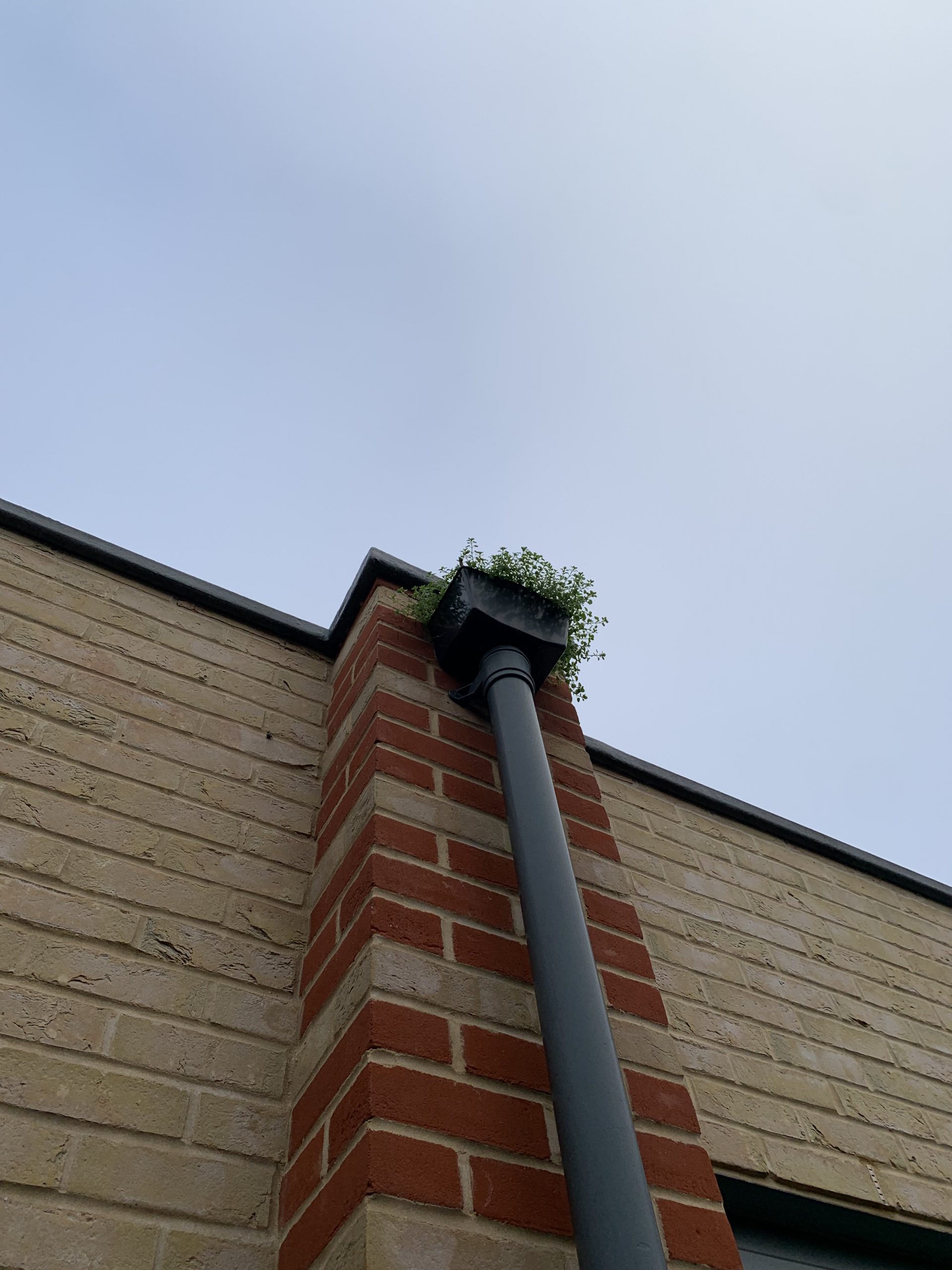 How To Spot Damage From A Lack Of Gutter Cleaning - Blog